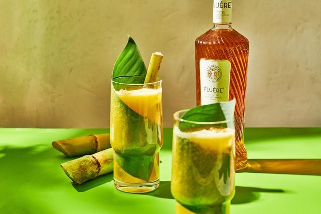 FLUÈRE and Andretti United Extreme E unveil ‘Nature’s Bounty’ non ...