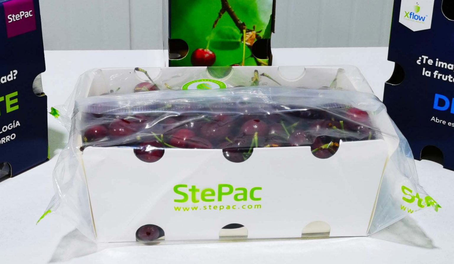 StePac’s Automated Packaging Formats Reign on the Chile – China Route ...