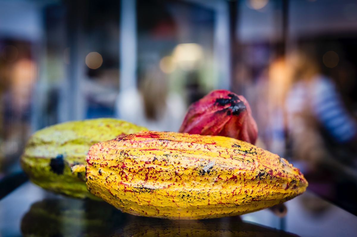 Chocolate Week returns - Inside Food & Drink